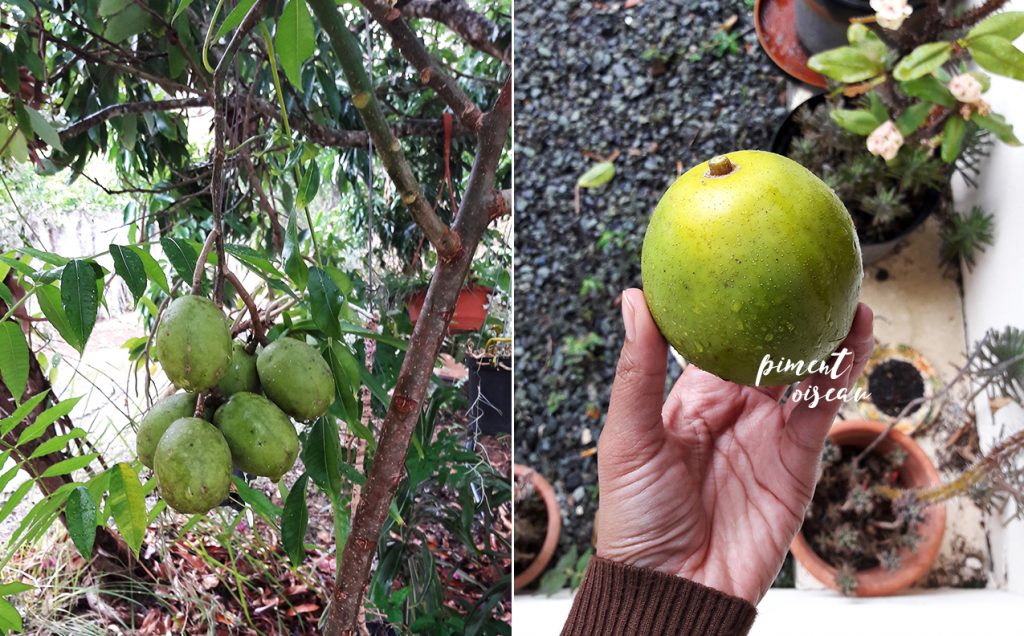 Rougail de pomme-cythère – PIMENT OISEAU
